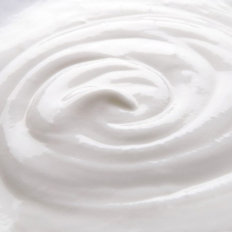 Yogurt Scremato Marche Yogourmet® Yogurt Starter, 6 X 3 G.